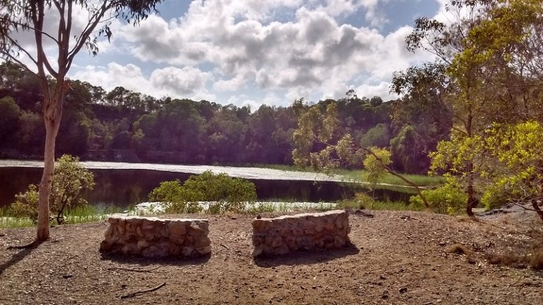 Daisy Hill State Forest, Old Quarry Bushwalk, QLD – Beautiful Bushwalks