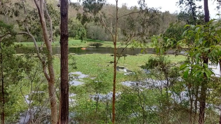 Enoggera Dam Reservoir Bushwalk QLD – Beautiful Bushwalks