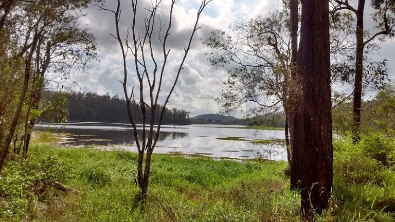 Enoggera Dam Reservoir Bushwalk QLD – Beautiful Bushwalks
