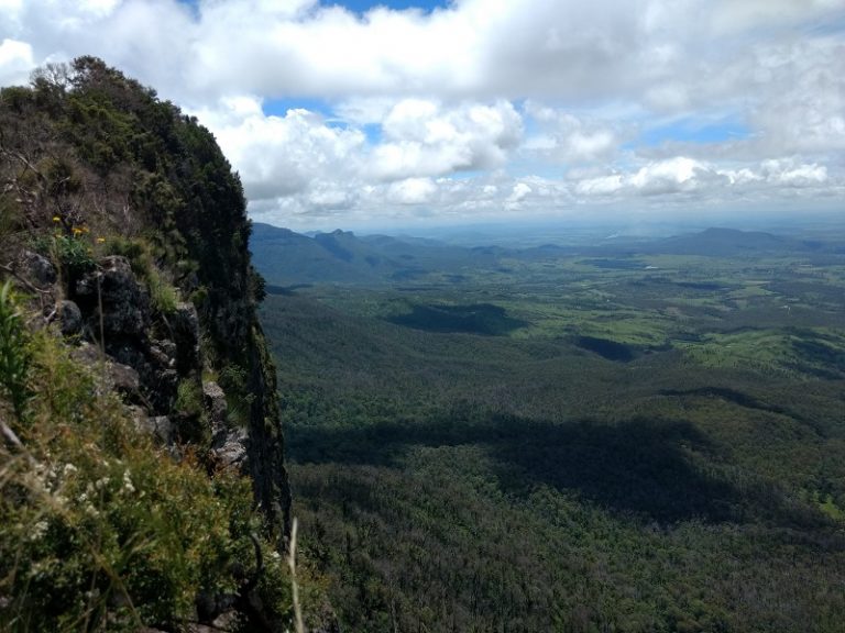 Mt Mitchell Summit Bushwalk, Main Range National Park, QLD – Beautiful ...