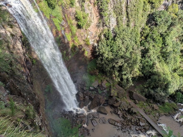 Queen Mary Falls, Main Range National Park, Queen Mary Falls Section ...
